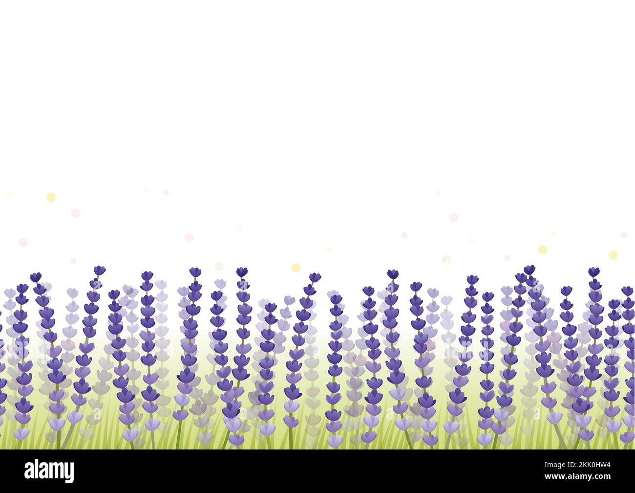 Seamless Vector Lavender Background Illustration With A White ...