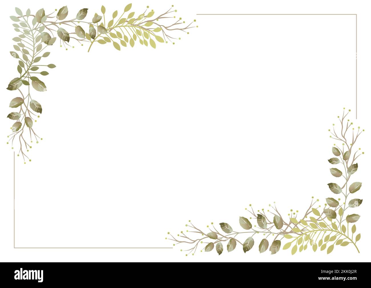 Vector Watercolor Rectangle Botanical Frame Isolated On A White ...