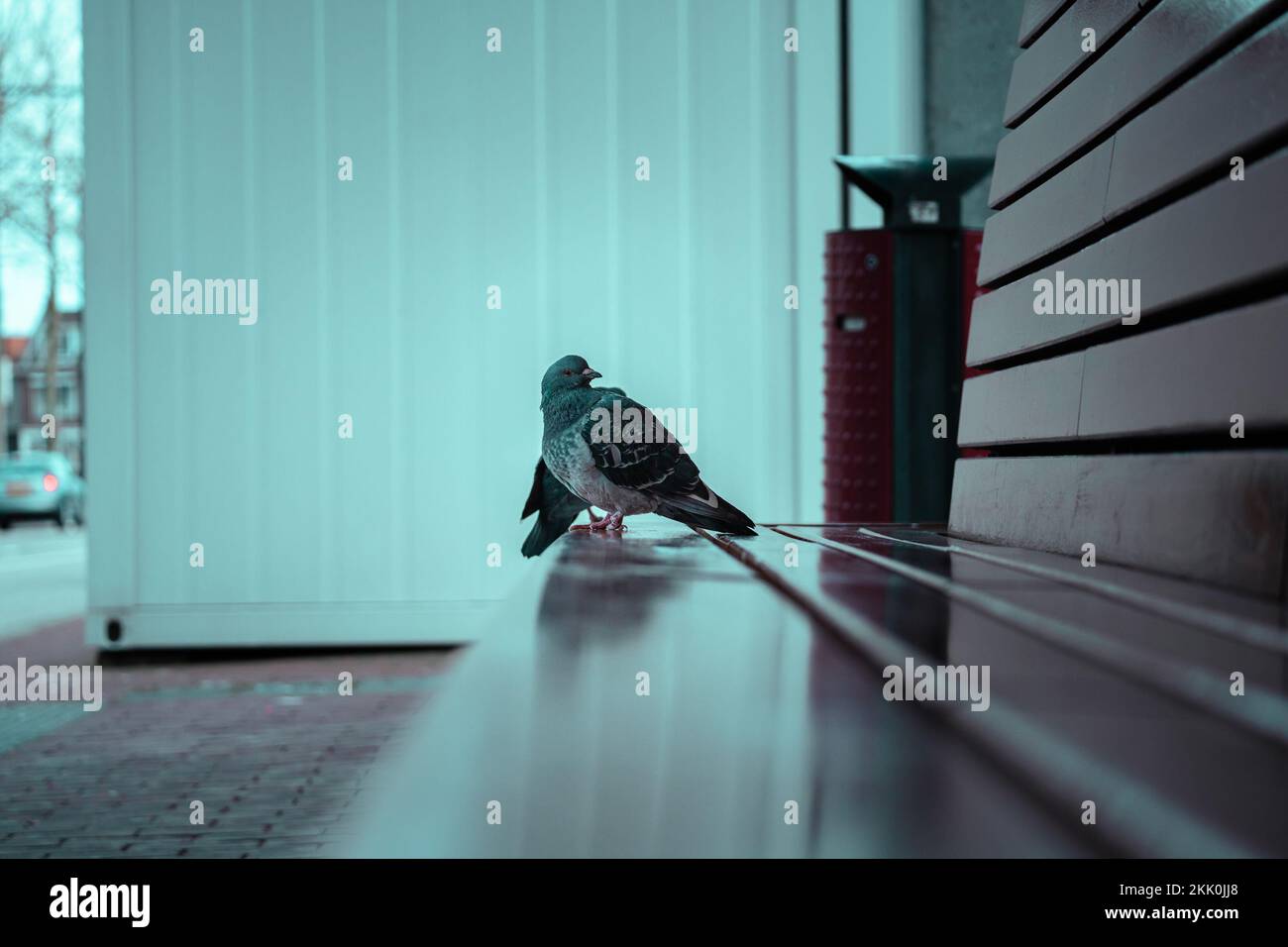 Stop photography hi-res stock photography and images - Alamy