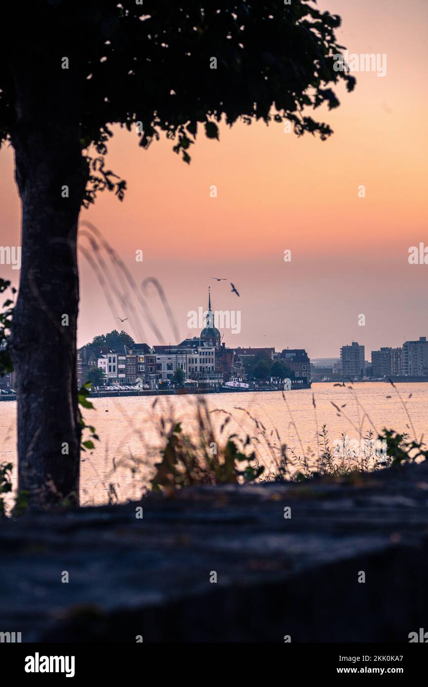 Dordrecht town in The Netherlands at sunset, photo taken from the town ...