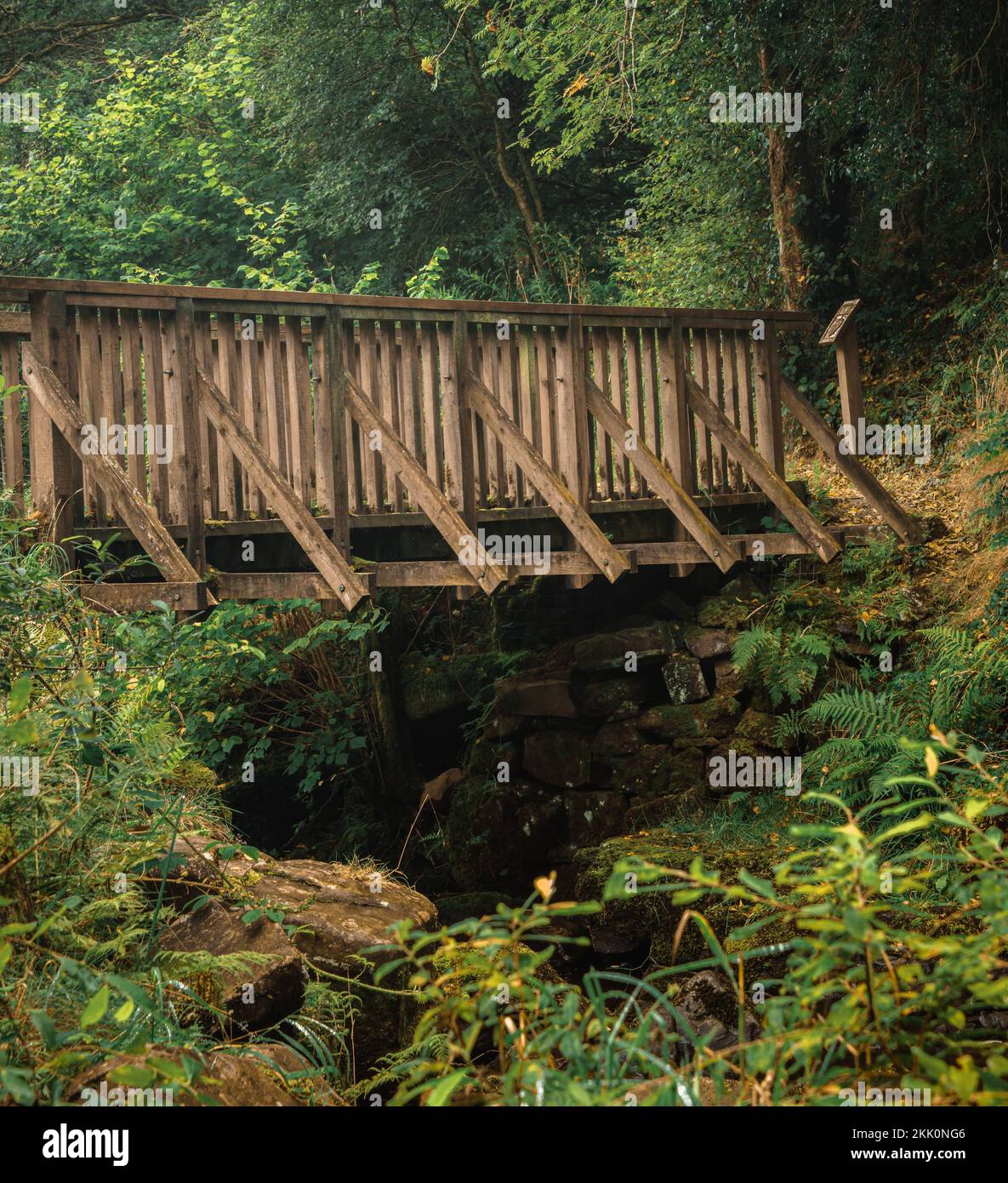 A wooden footbridge surrounded by vegetation at Coed Taf Fawr River in ...