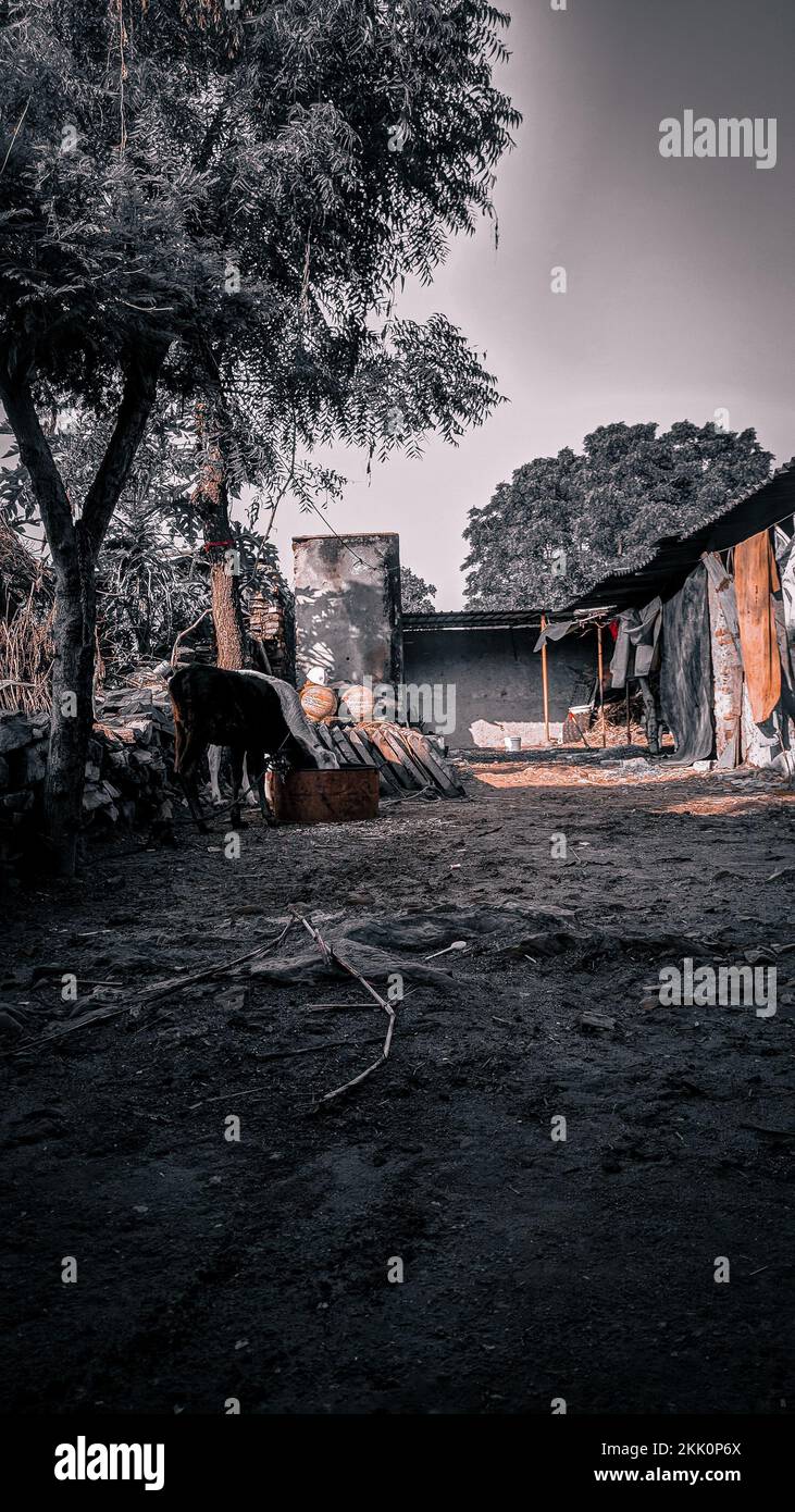 Documentary Photo clicked on Android Device Stock Photo - Alamy