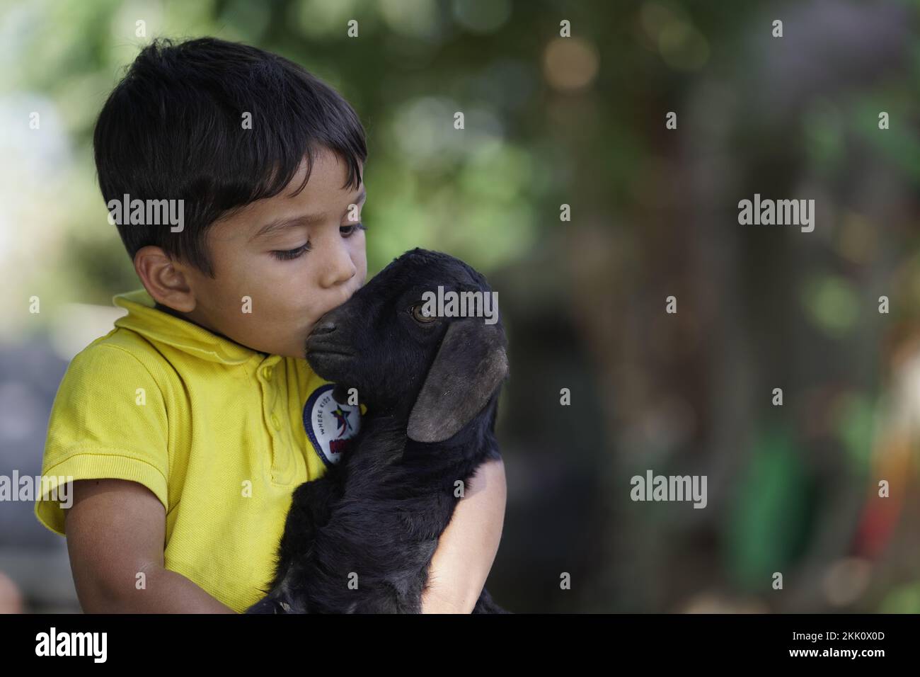 A scenic view of a young child hugging a black baby goat and giving it ...