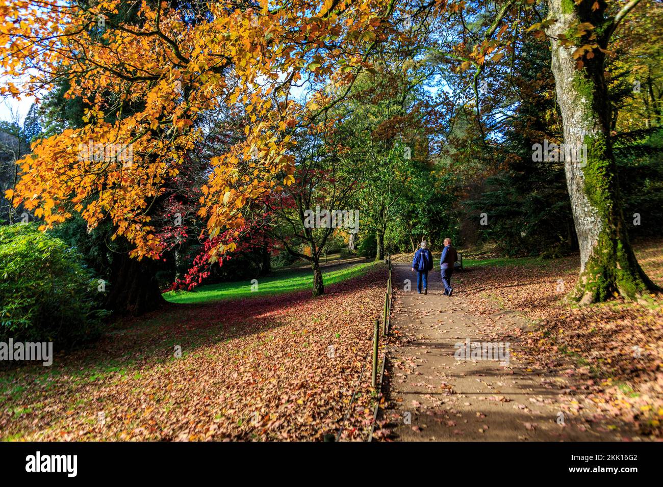 Walkers admiring the spectacular autumn colour at Stourhead Gardens ...