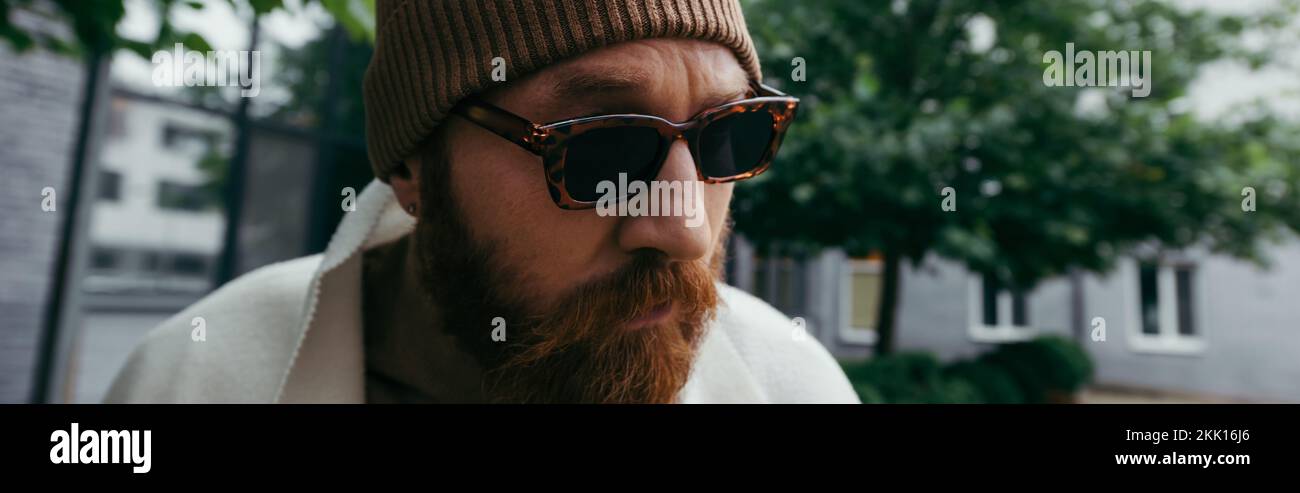 suspicious man with beard in stylish sunglasses and beanie hat, banner ...