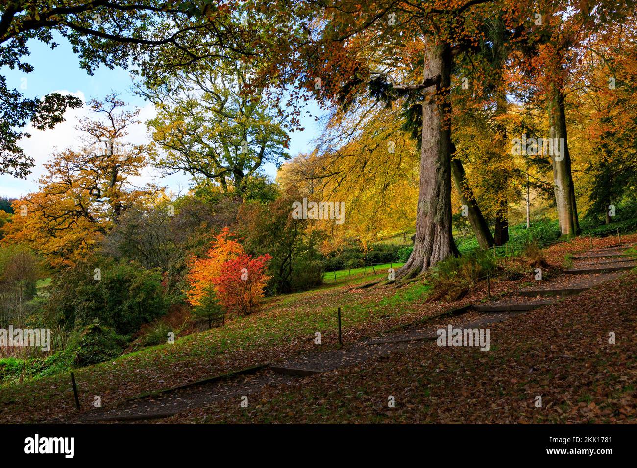 Spectacular autumn colour at Stourhead Gardens, Wiltshire, England, UK ...