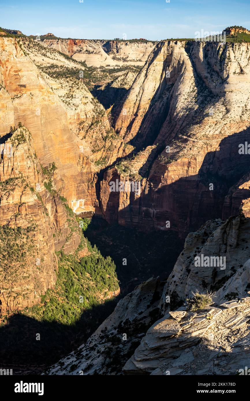 Deer trap trail hi-res stock photography and images - Alamy