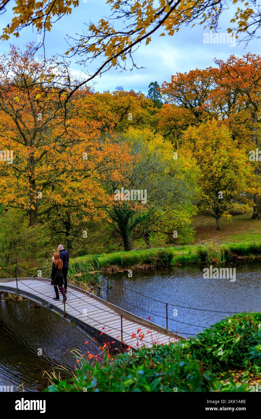 Two visitors on a bridge over the lake with autumn colour at Stourhead ...