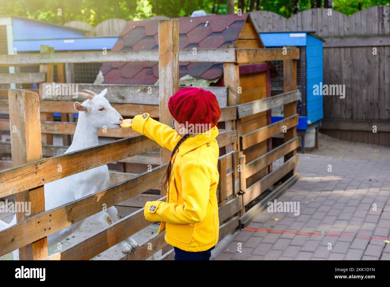 Beret goatee head hi-res stock photography and images - Alamy