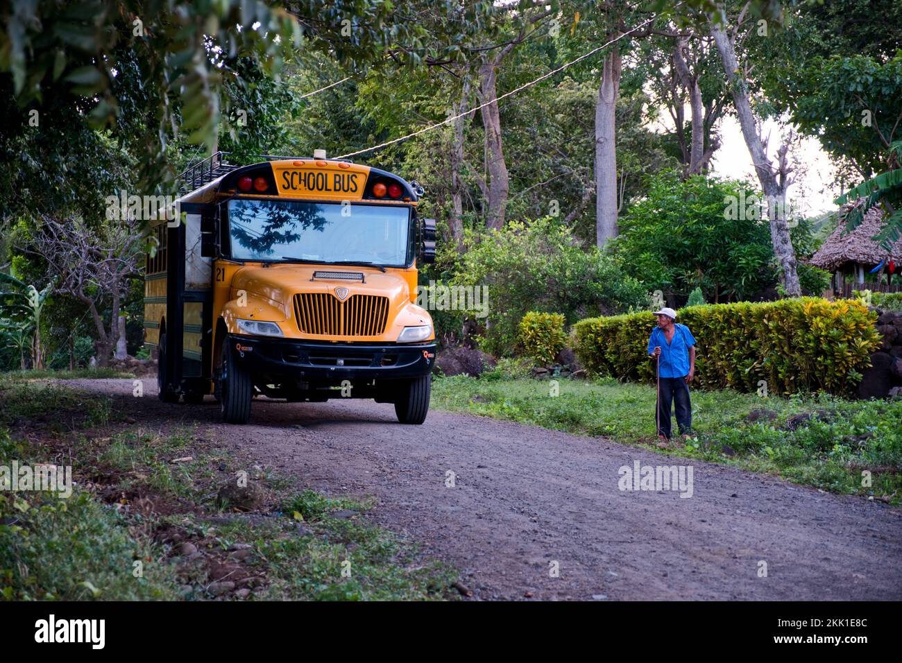 An Old American school bus repurposed for public transport on the ...