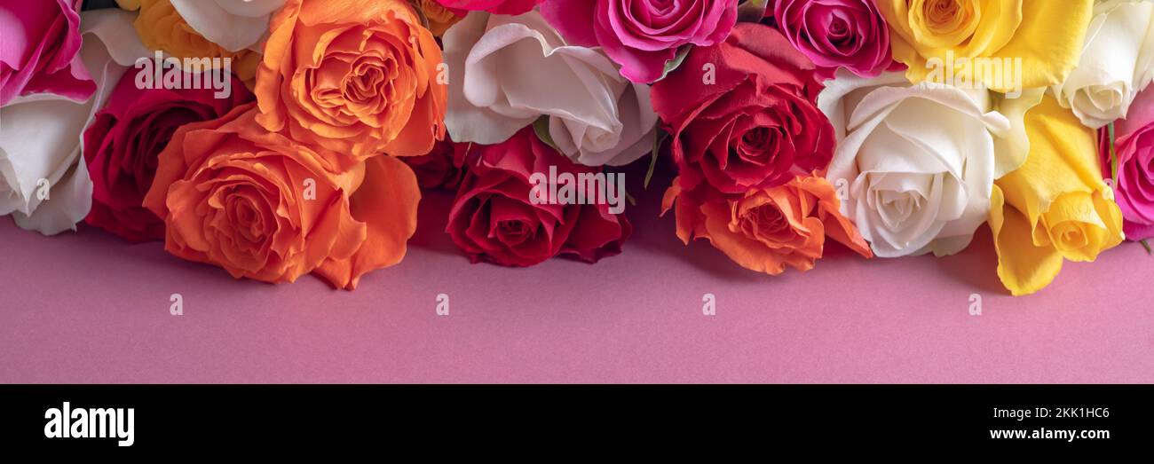 Bunch of colorful roses Stock Photo - Alamy
