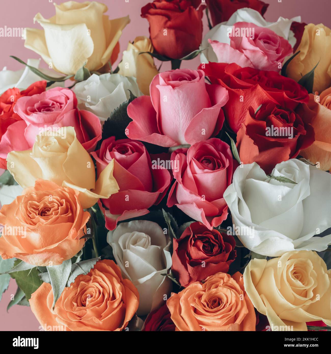 Bunch of colorful roses Stock Photo - Alamy