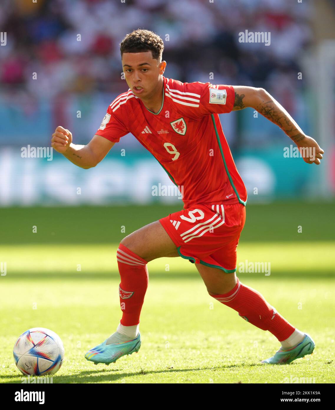 Wales' Brennan Johnson during the FIFA World Cup Group B match at the ...