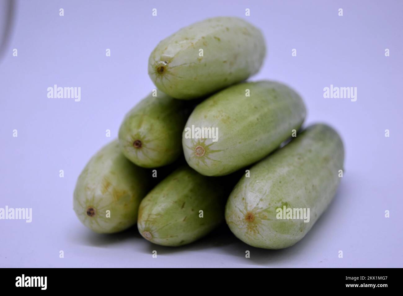 Mentimun, Timun, Ketimun Or Cucumis Sativus L. With Selected Focus ...