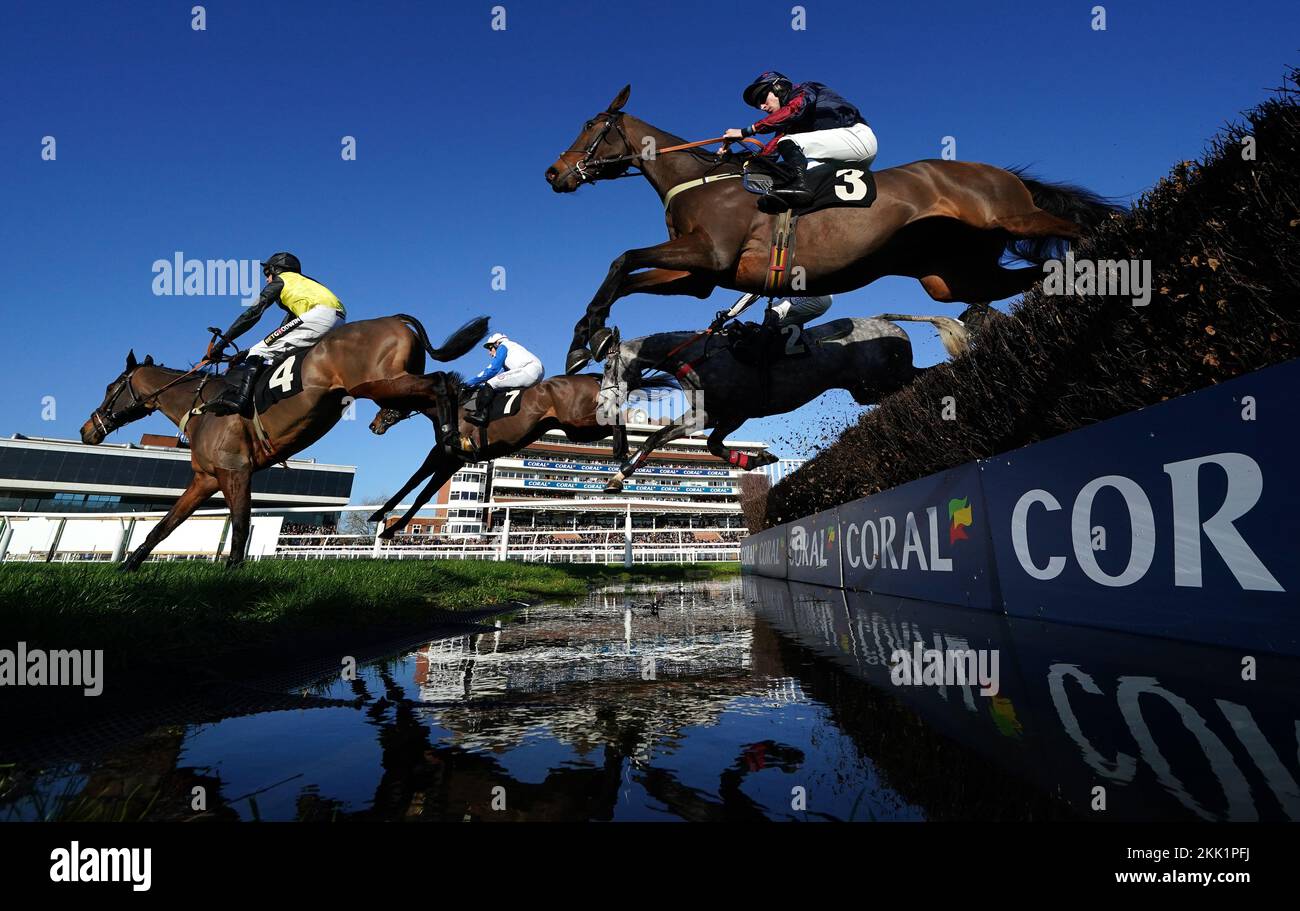 Newbury coral gold cup hi-res stock photography and images - Alamy