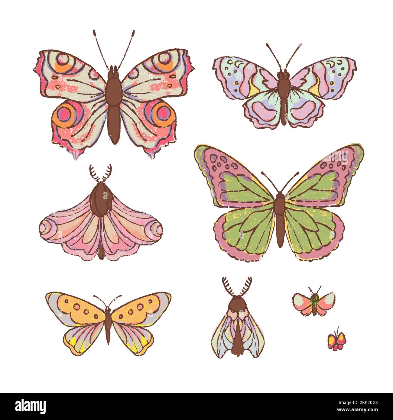 HAND DRAWN BUTTERFLY Cute Cartoon Tropical Insect Clip Art Vector ...