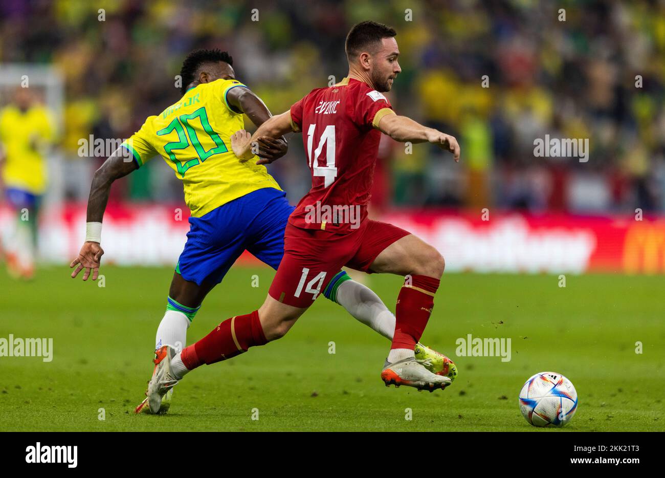 Doha, Qatar. 24th Nov, 2022. Andrija Zivkovic (Serbia), Vinicius Junior ...