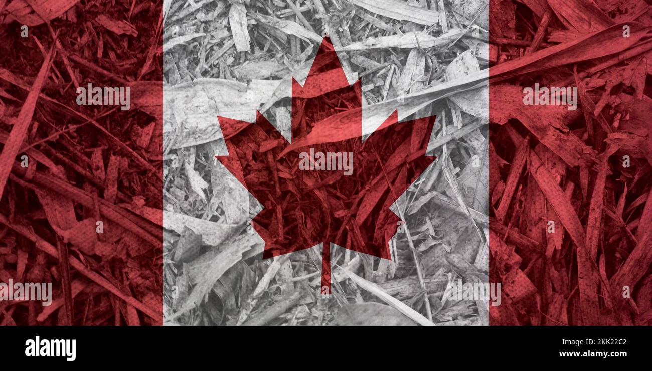 canada flag texture as background Stock Photo - Alamy
