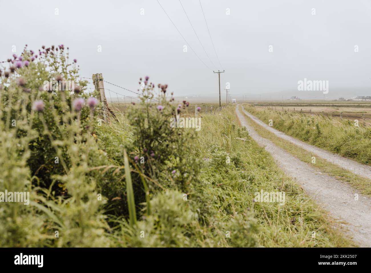 A narrow pathway passing between beautiful fields in the Isle of Three ...