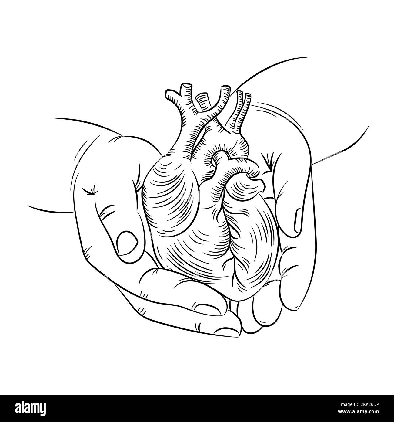HEART IN HANDS Health Symbol Medicine Human Hand Drawn Monochrome ...
