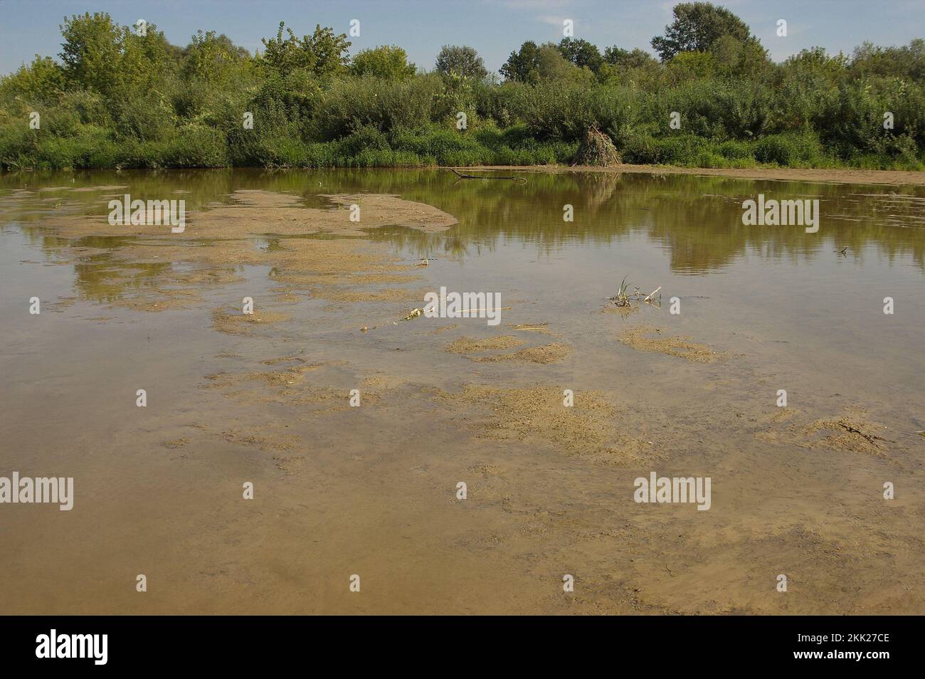 Wildlife photographers hide at the edge of shallow muddy water Stock ...