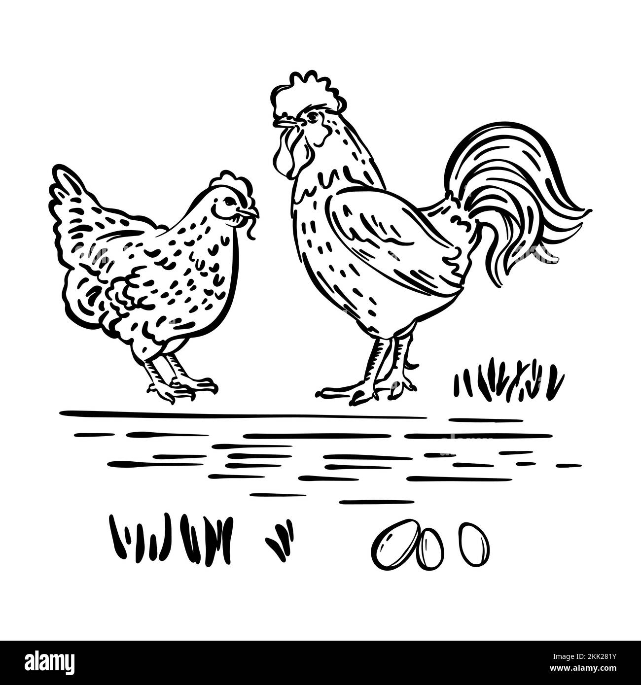HEN COCK And Eggs Symbol Of Holy Easter Holiday Hand Drawn Cartoon ...
