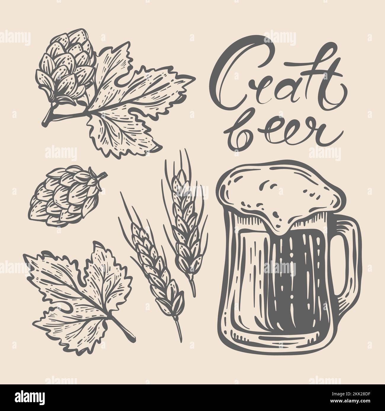 HOPS AND BEER Tasty Drink In Mug With Foam And Ears Of Wheat And Hop ...