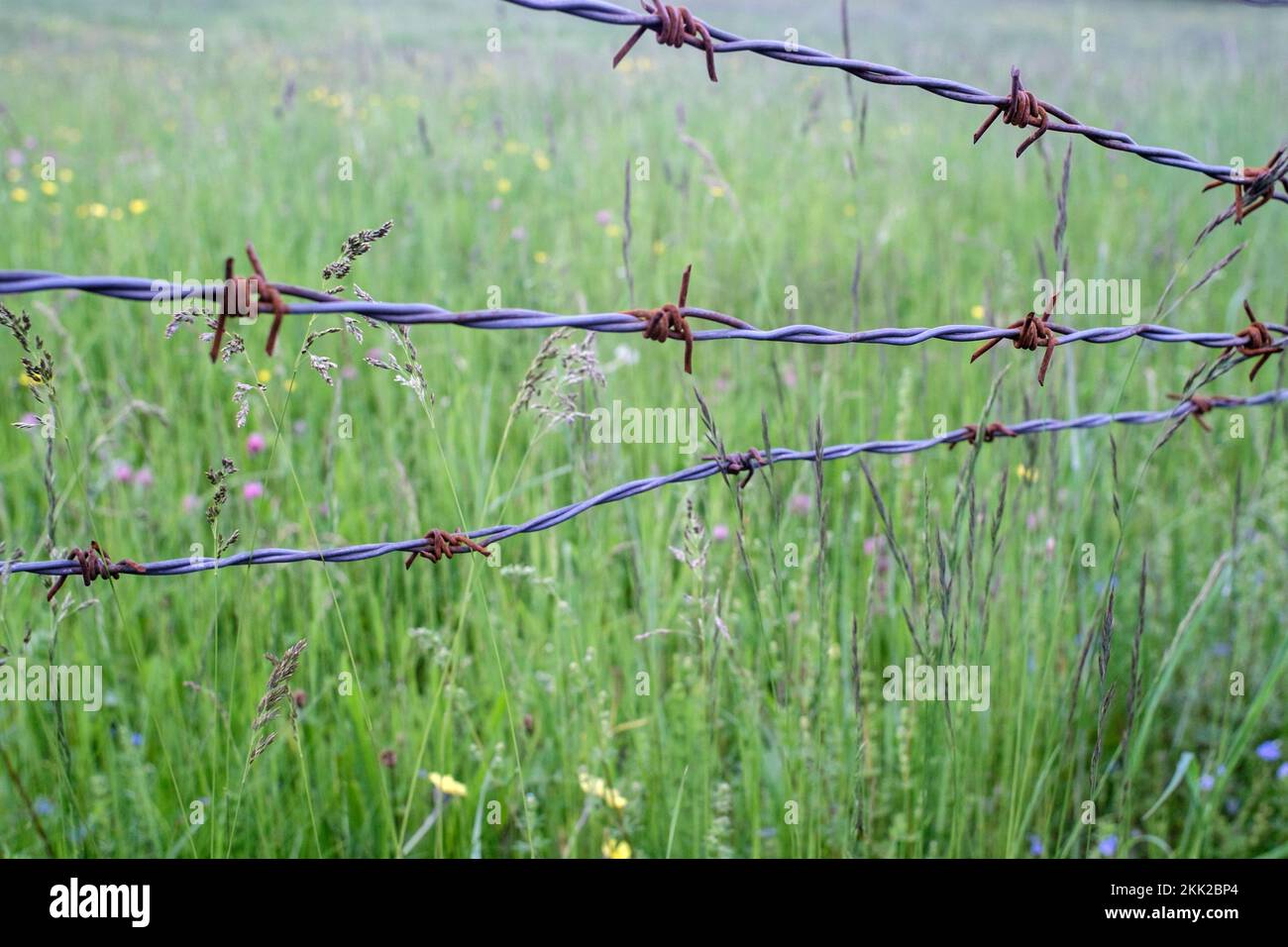 Grenzzaun hi-res stock photography and images - Alamy