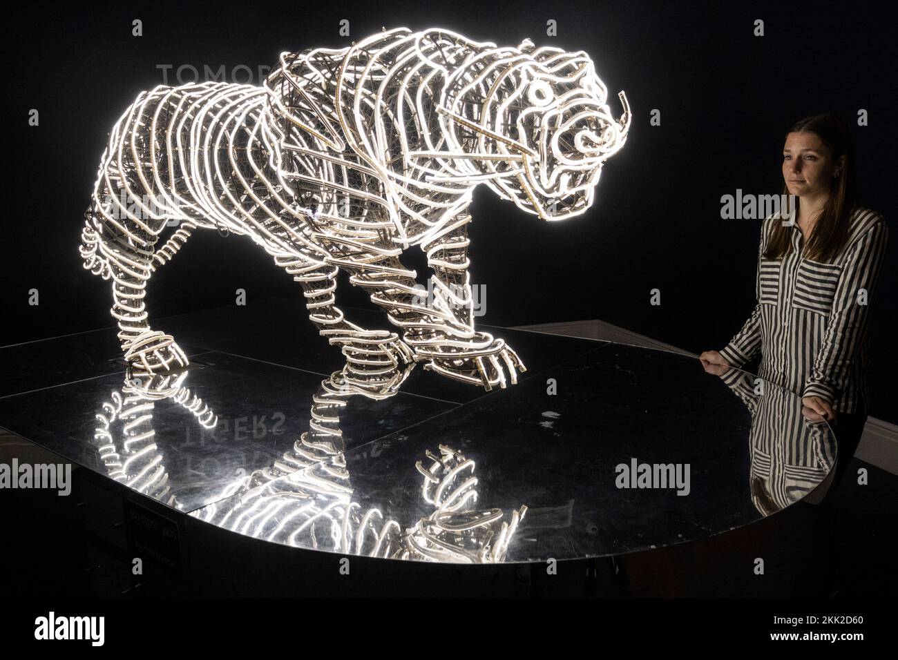 London, UK. 25 November 2022. A staff member with 'My Tiger Janu' by ...