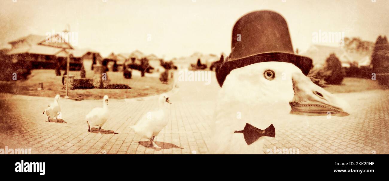 Panoramic wide angled hi-res stock photography and images - Alamy