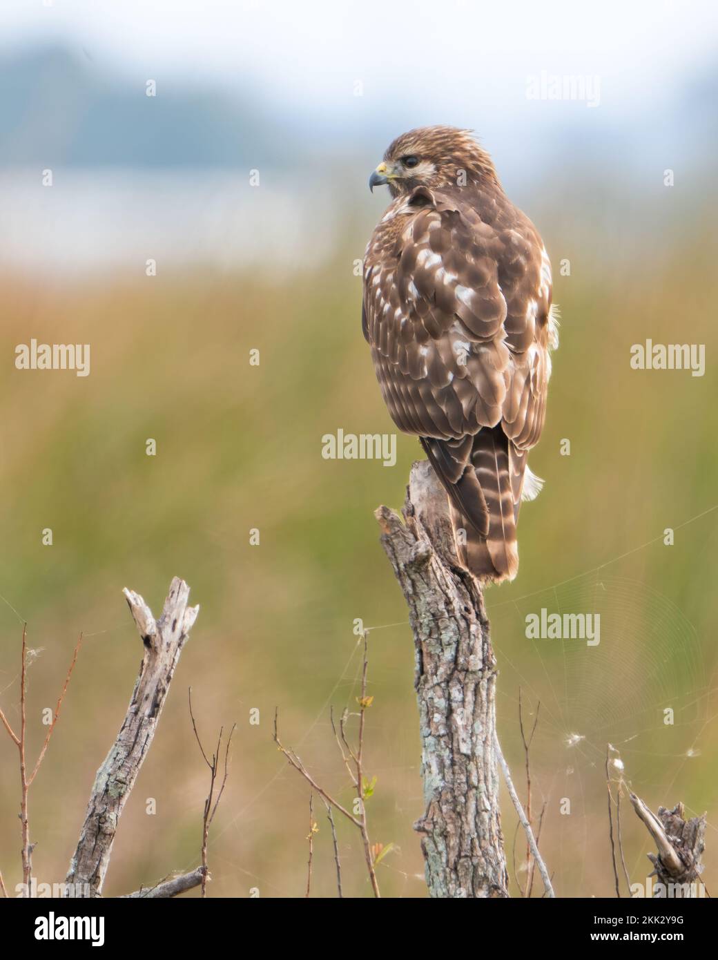 Rust red lake hi-res stock photography and images - Alamy