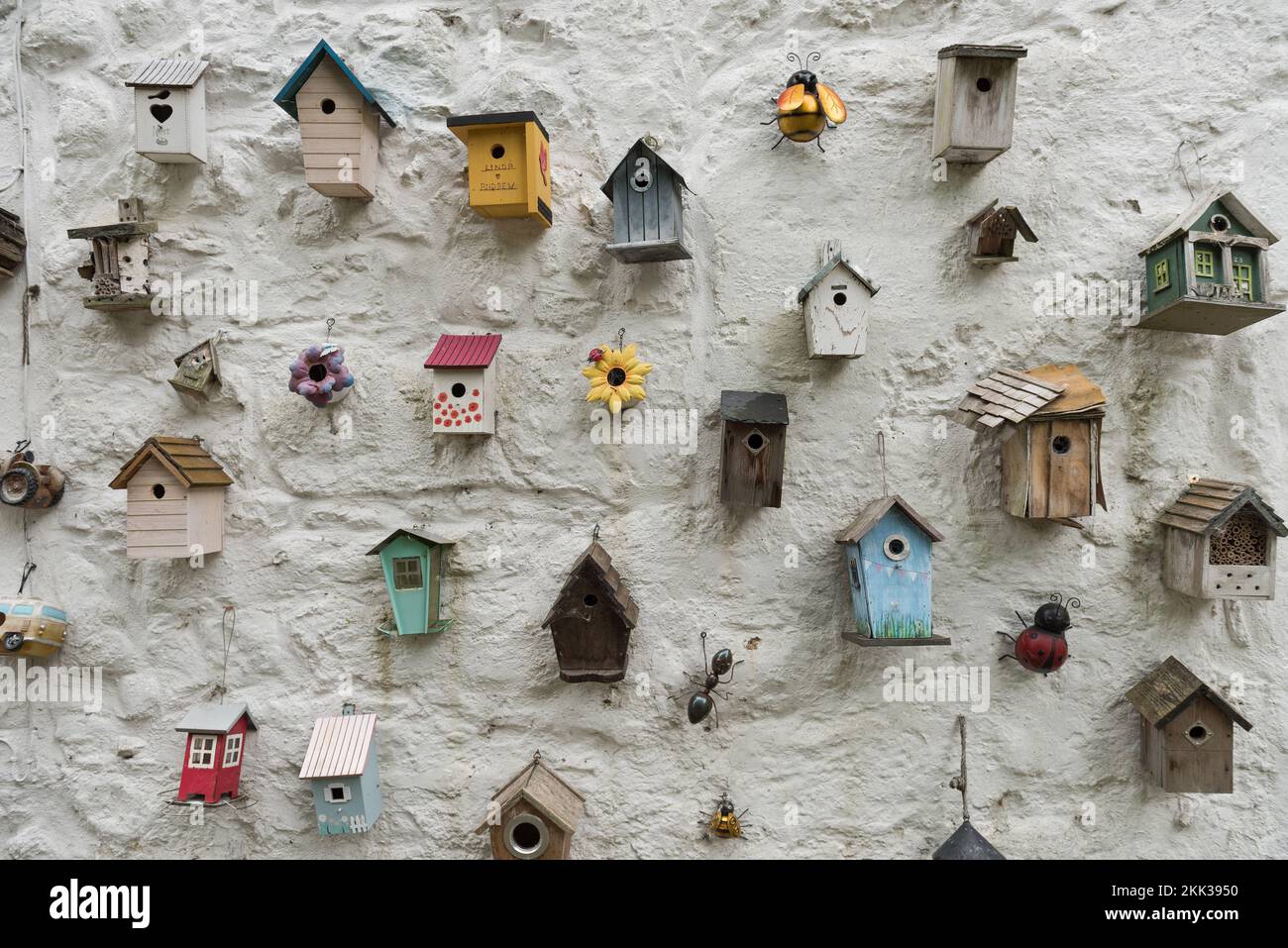 Moving home or house a vast selection of different styles of bird boxes ...