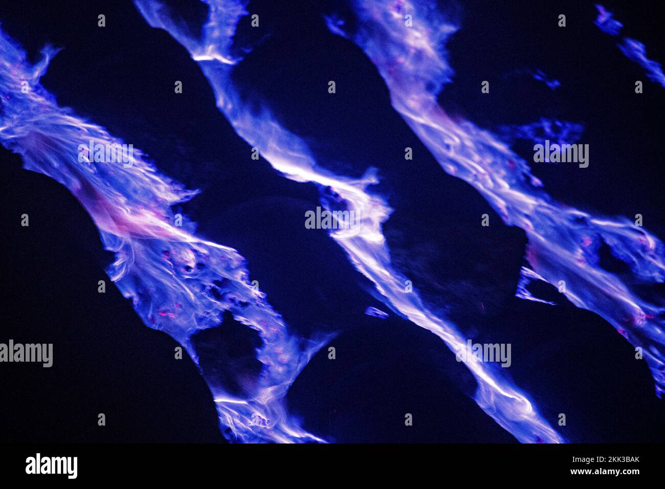 The famous blue fire on Mount Ijen, East Java, Indonesia Stock Photo ...