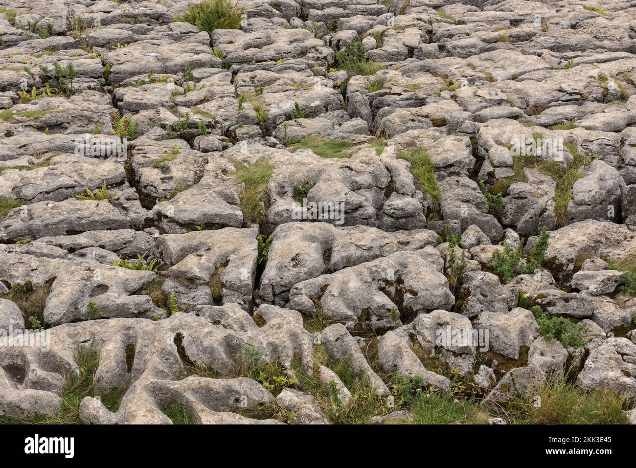 Malham Cove, a fault on the middle Craven Fault, limestone pavement on ...