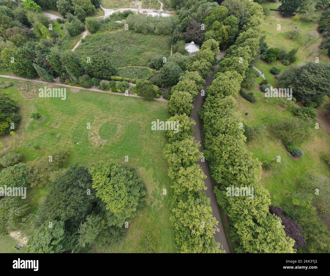 An aerial view of green trees in a forest Stock Photo - Alamy