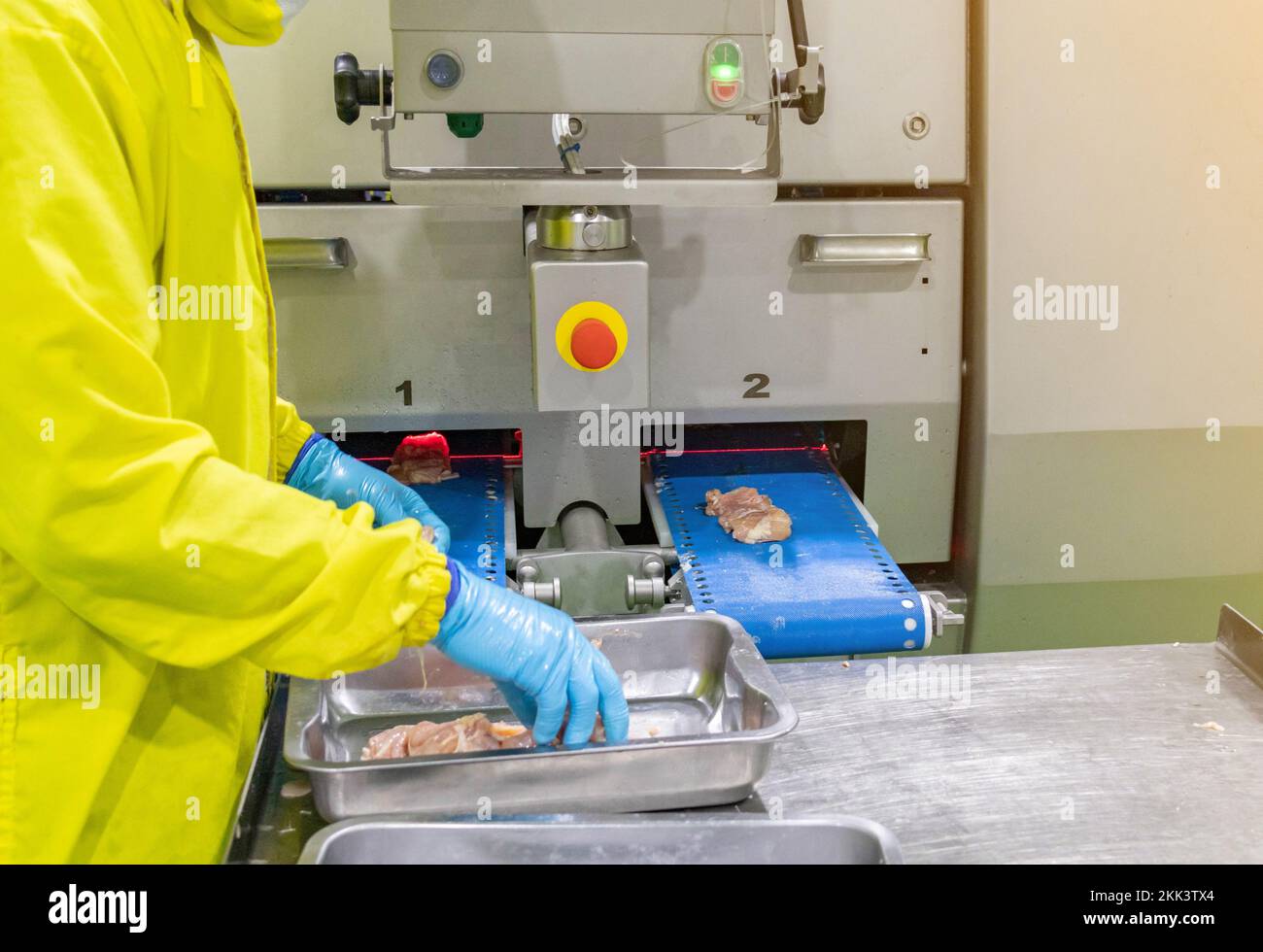 A piece chicken meat on conveyor belt to automatic cutting machine in ...