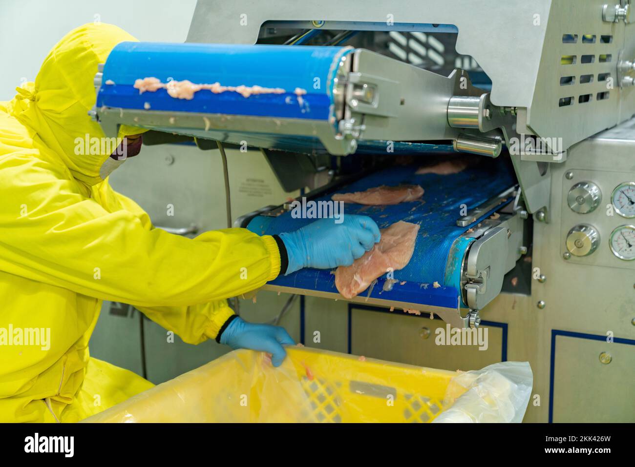 Chicken meat pass x-ray machine scan metal or solid in modern poultry ...