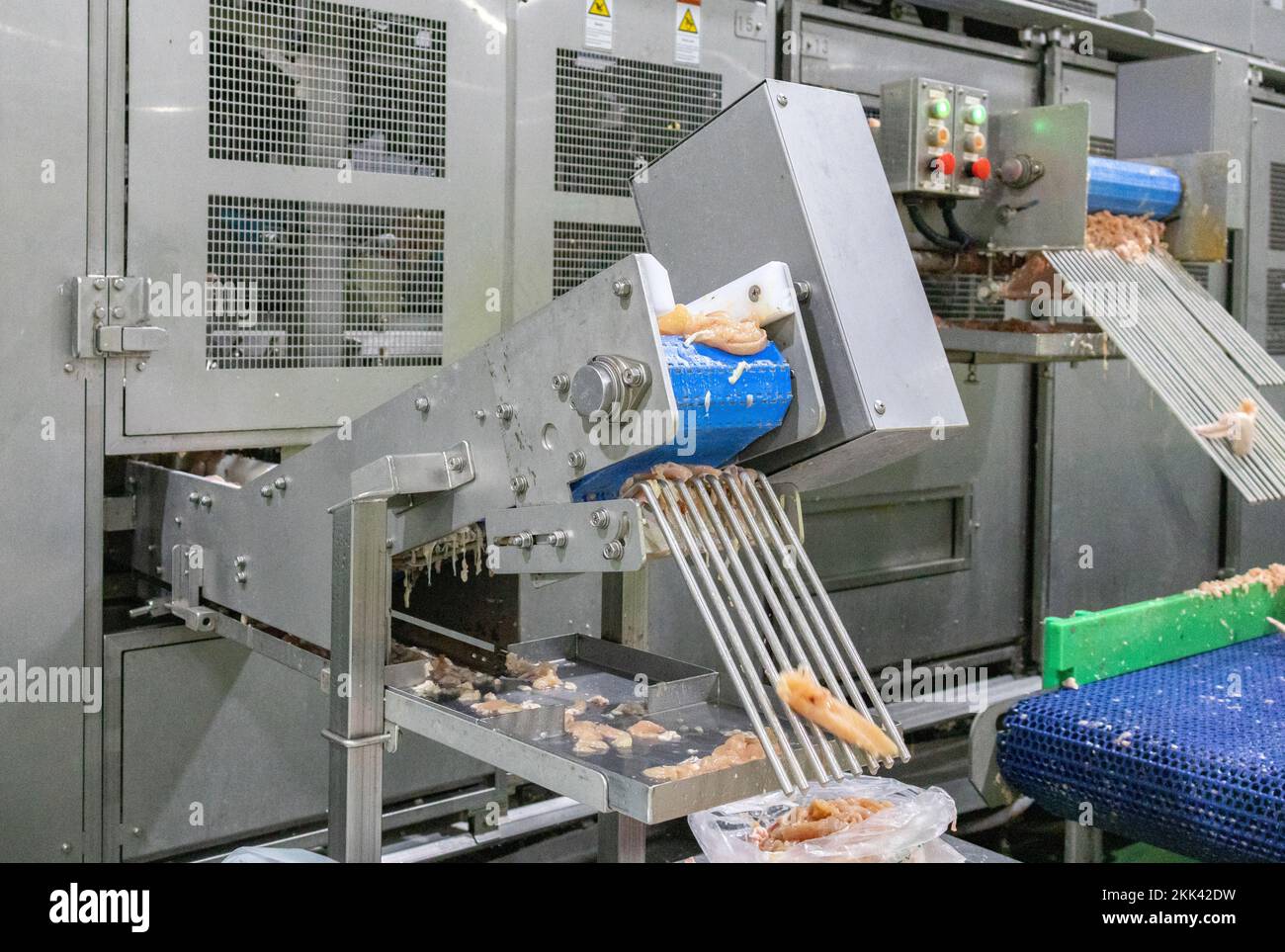 Auto cutting chicken parts load out meat from machine in modern poultry ...