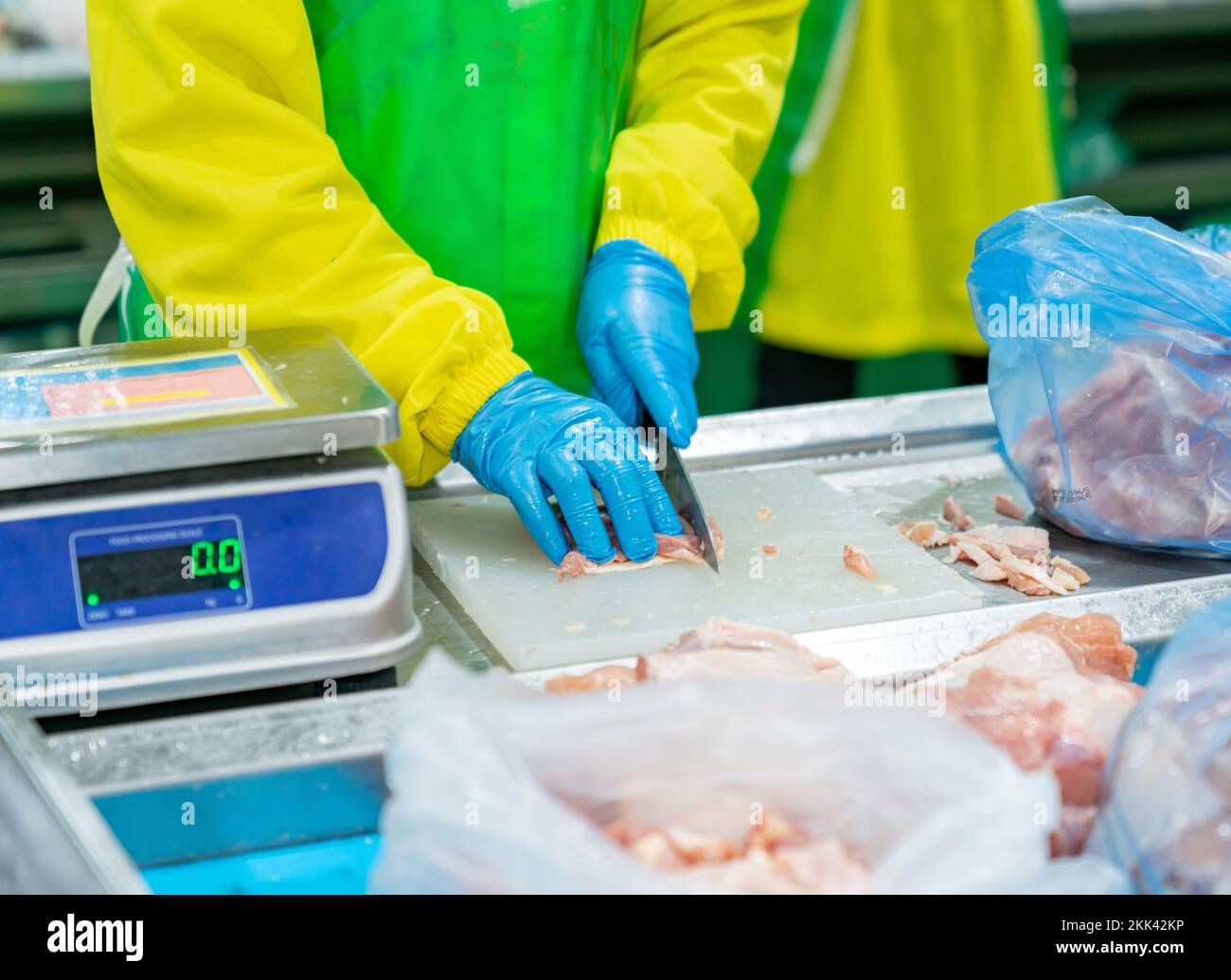 Worker cut and trim chicken meat and weighing for same size in poultry ...