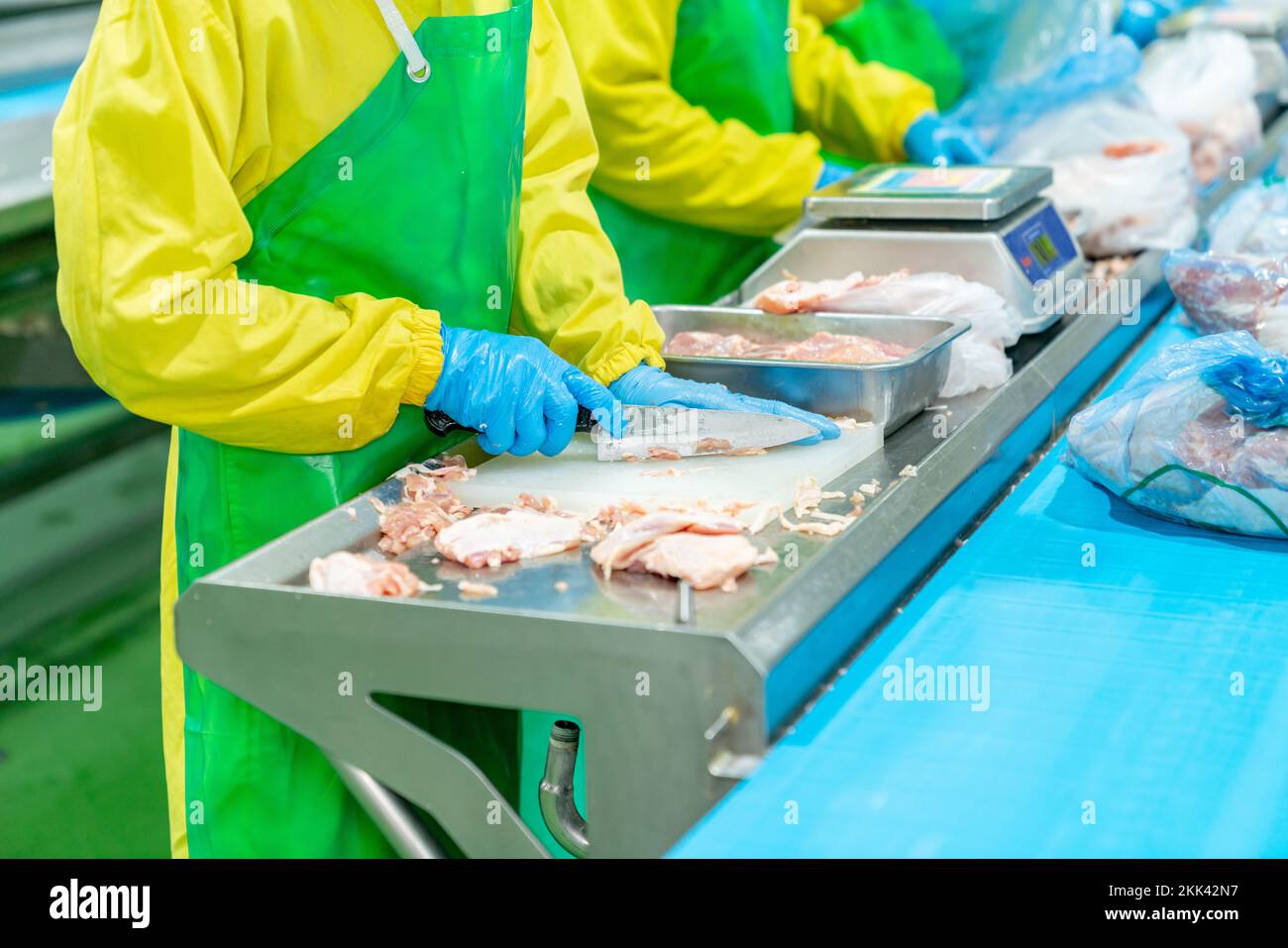 Worker cutting chicken meat special size and weighing same size Stock ...