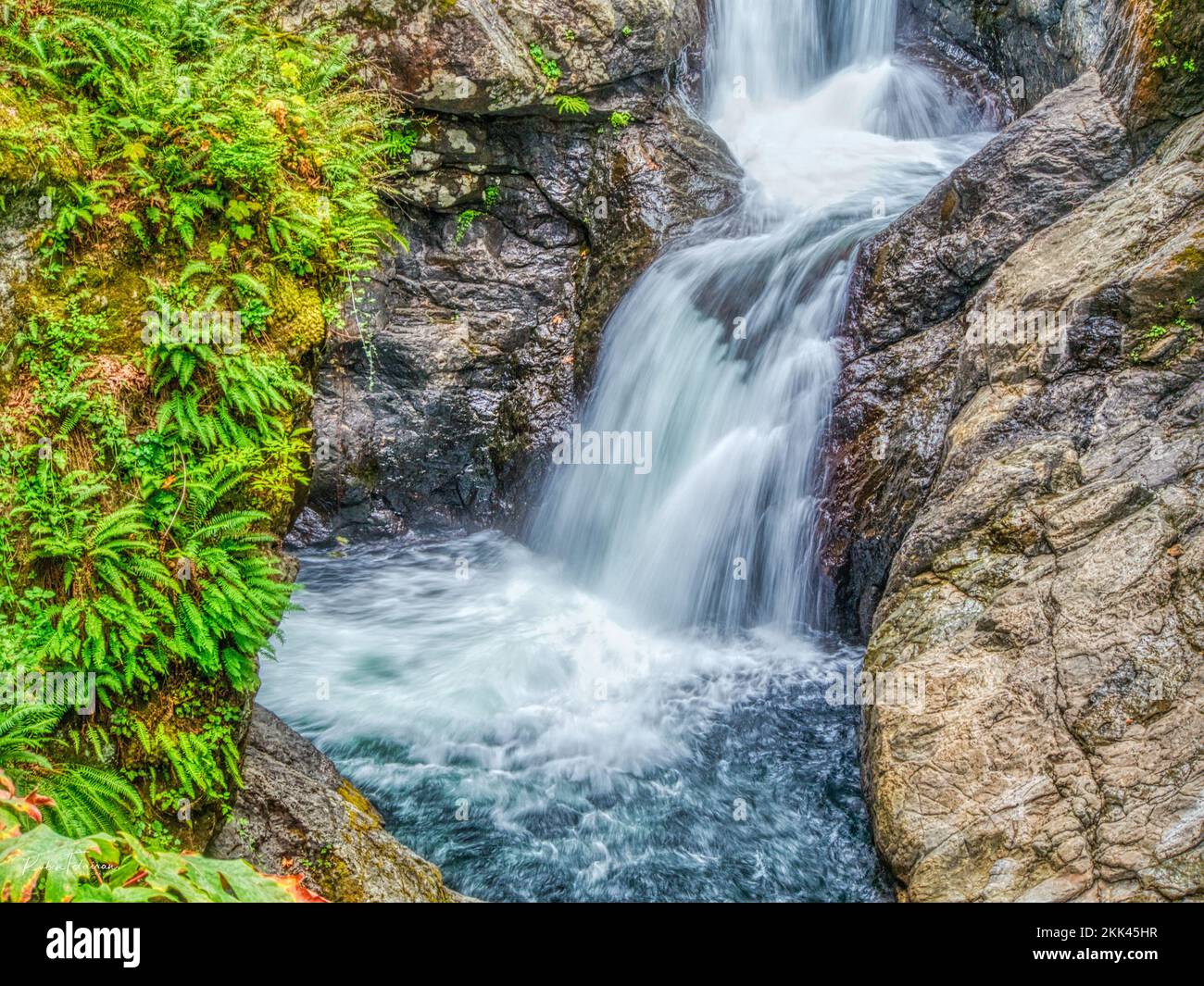 A beautiful landscape of a waterfall in a forest Stock Photo - Alamy