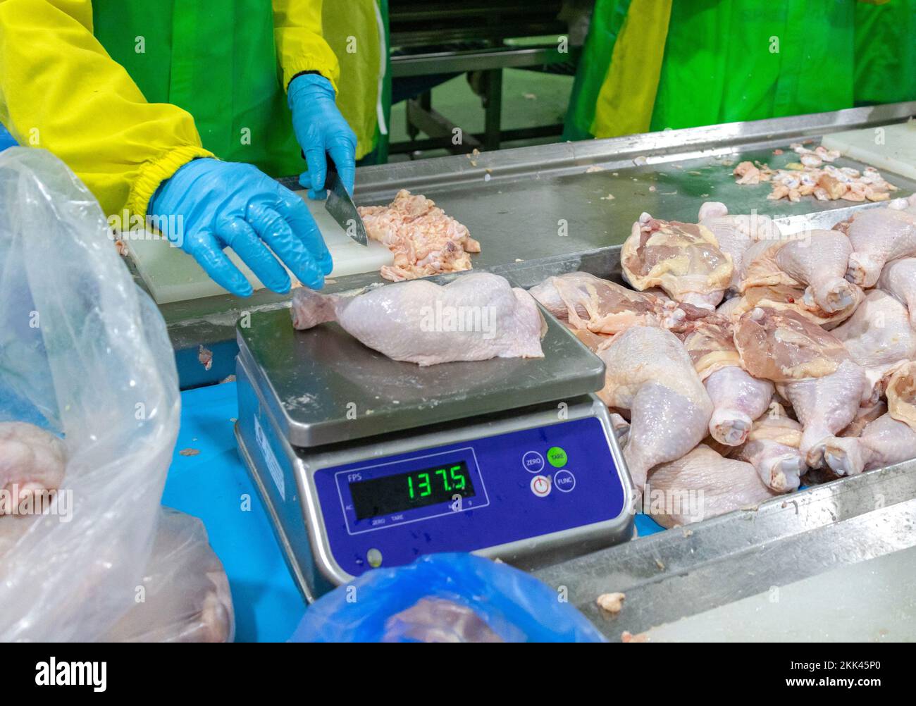 Worker cutting a chicken parts and weighing scale for size spec in ...