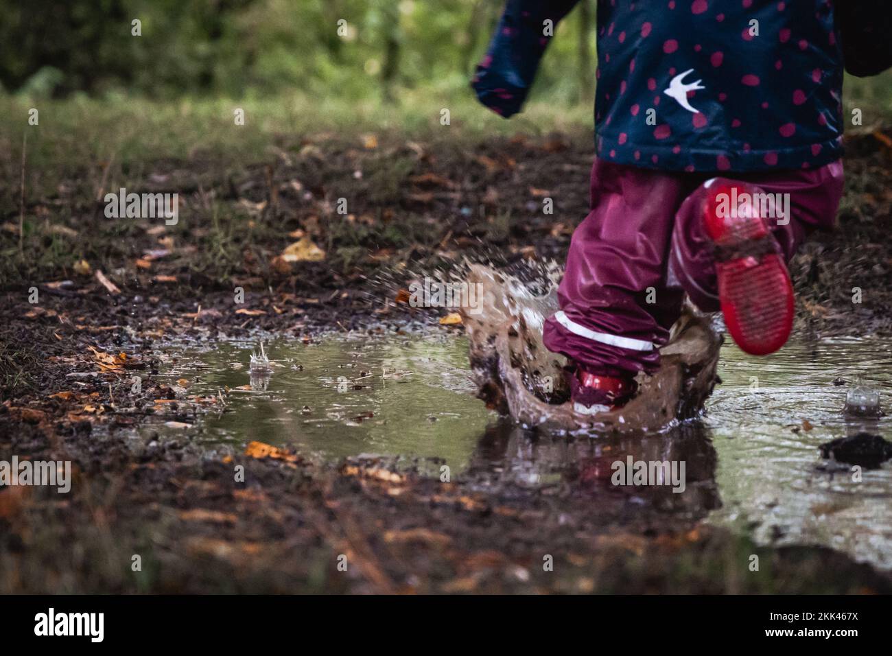 Stepping in puddle hi-res stock photography and images - Alamy