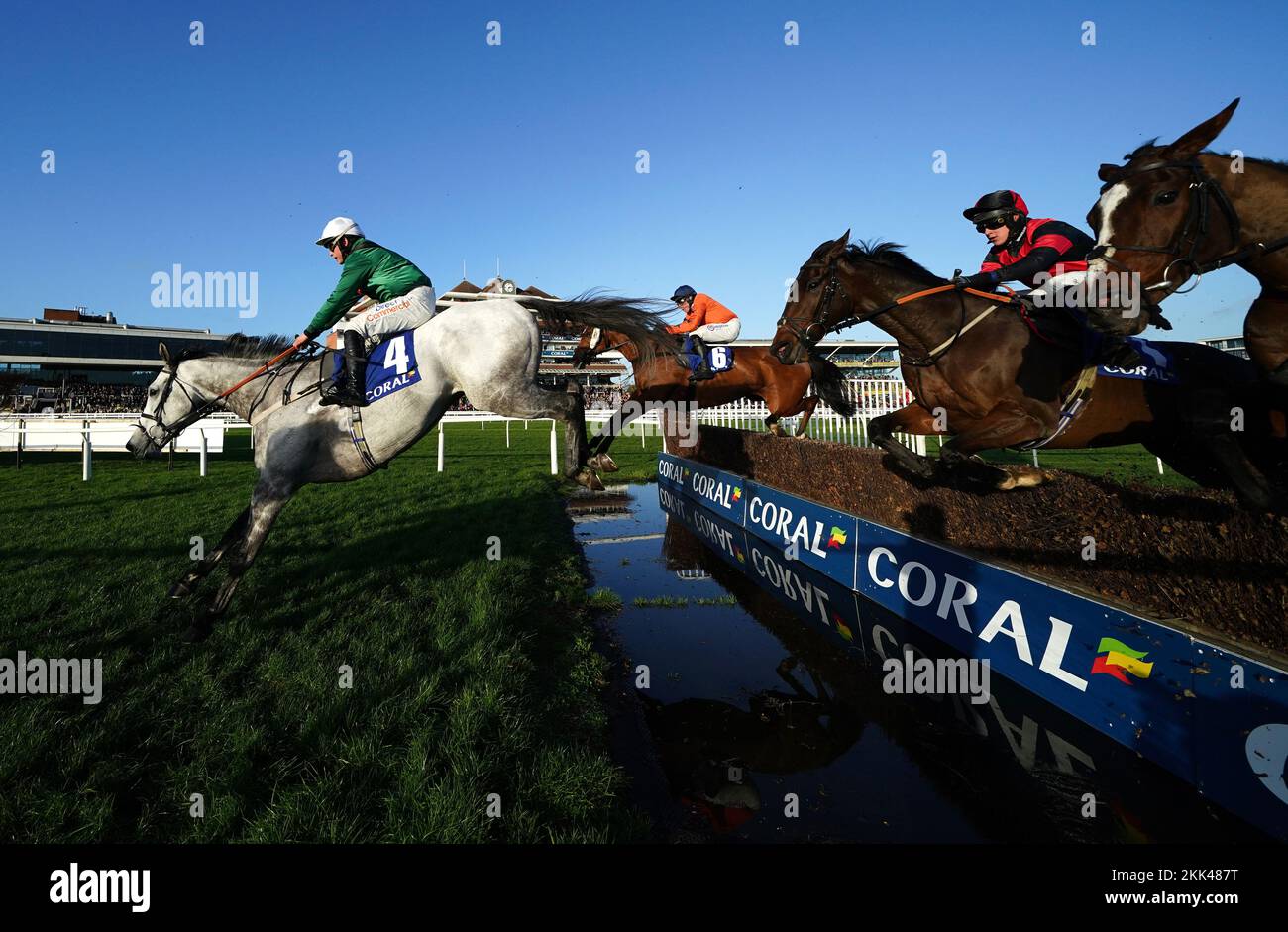 Numitor horse hi-res stock photography and images - Alamy