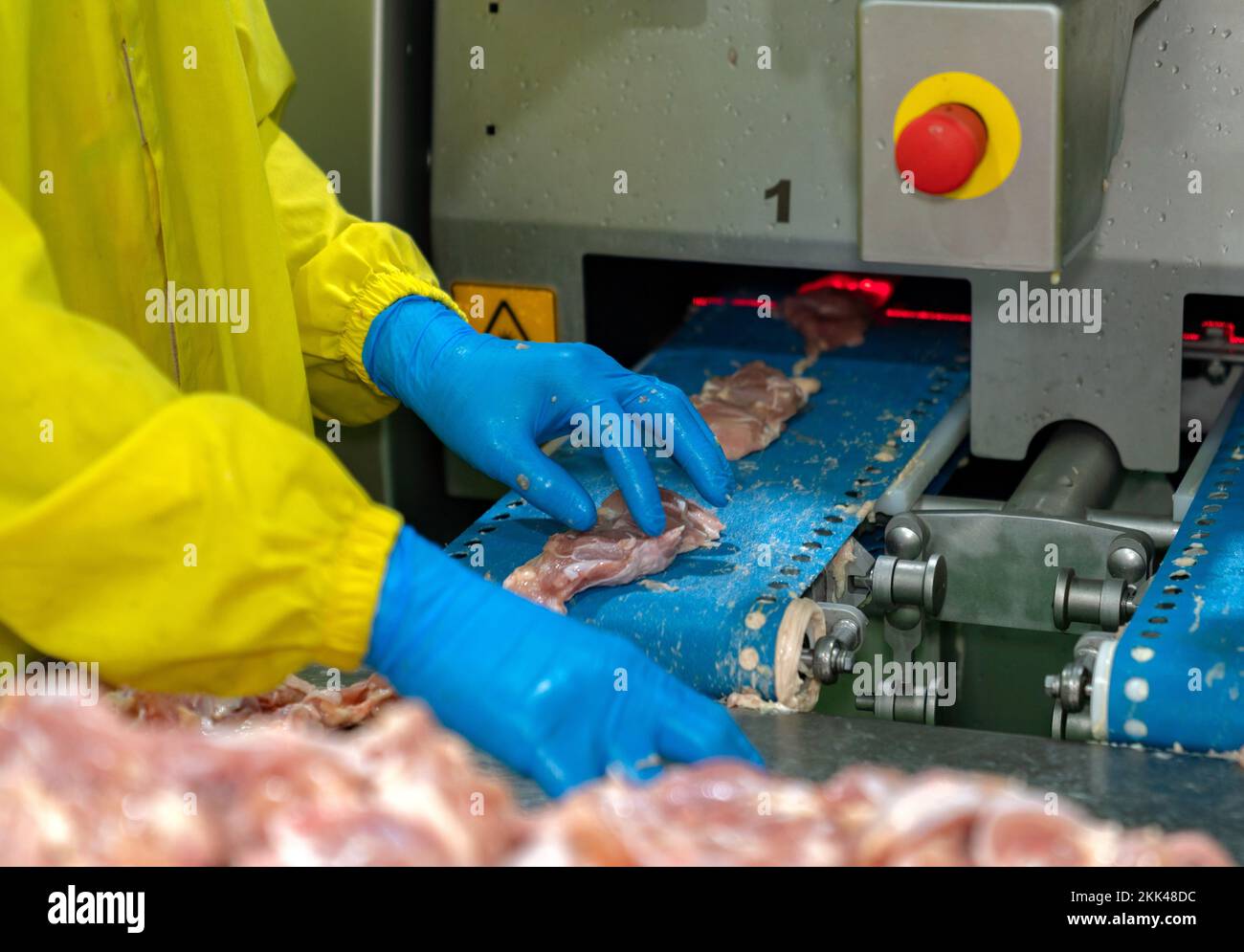 Chicken inspector hi-res stock photography and images - Alamy