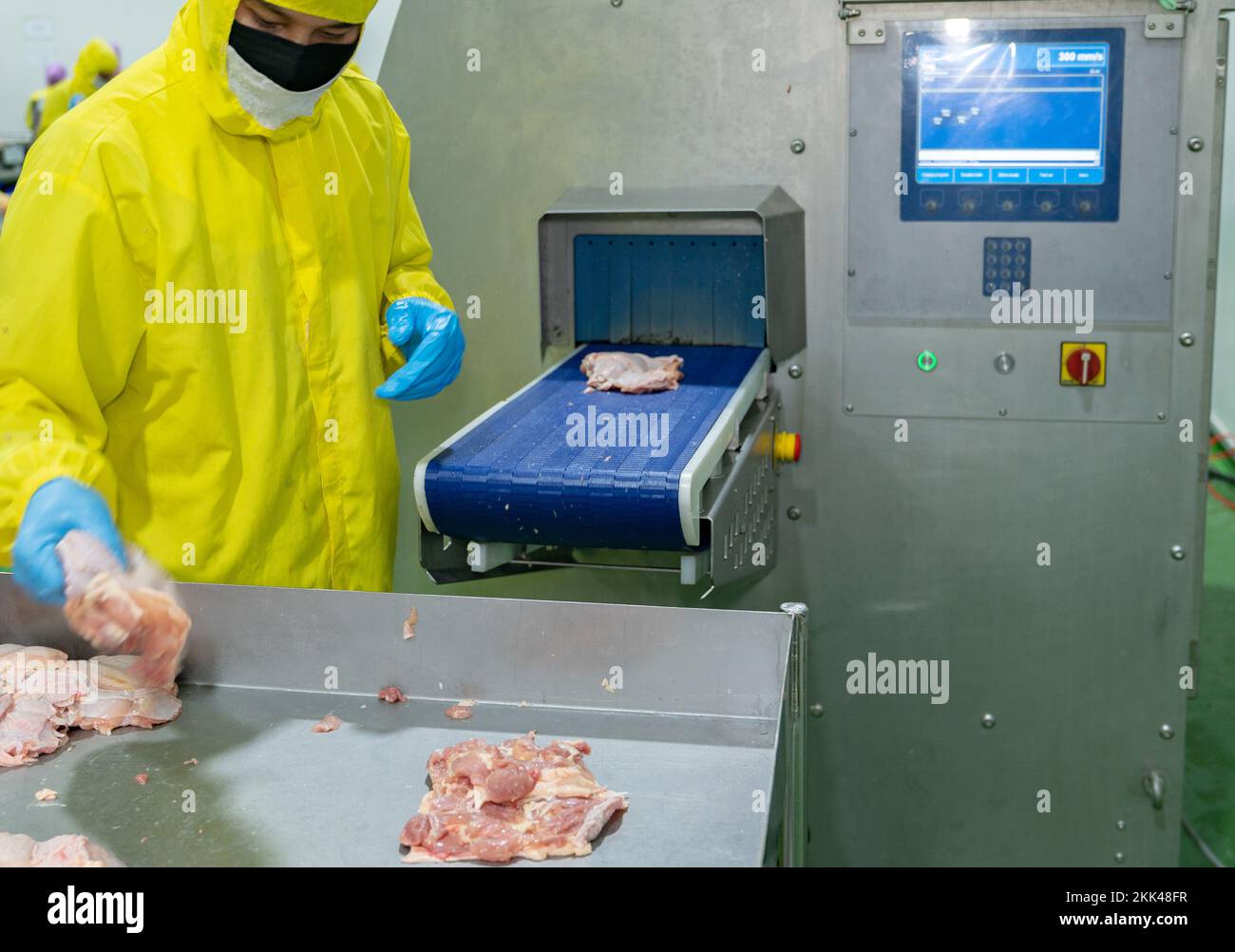 Chicken meat on conveyor to auto cutting size machine for special order ...