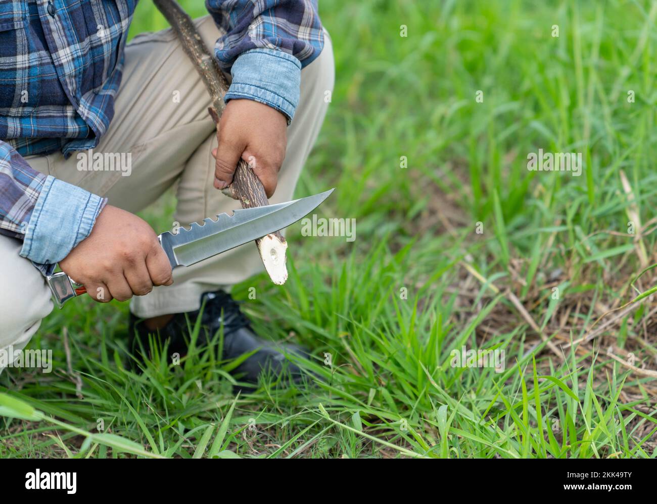 Close up male tourist making wooden stake in forest Concept of ...