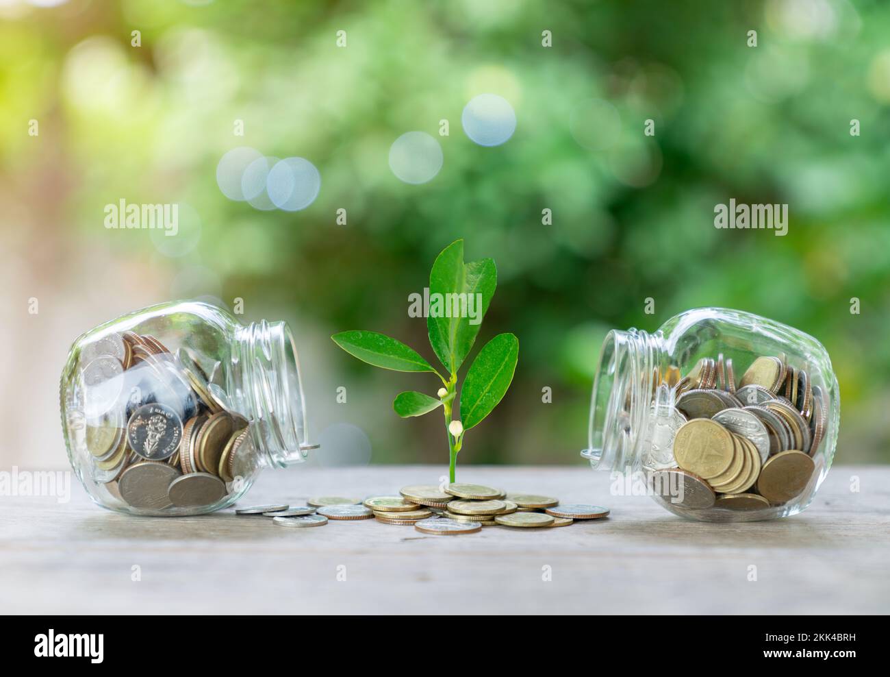 Coin tree Glass Jar Plant growing from coins outside the glass jar on ...