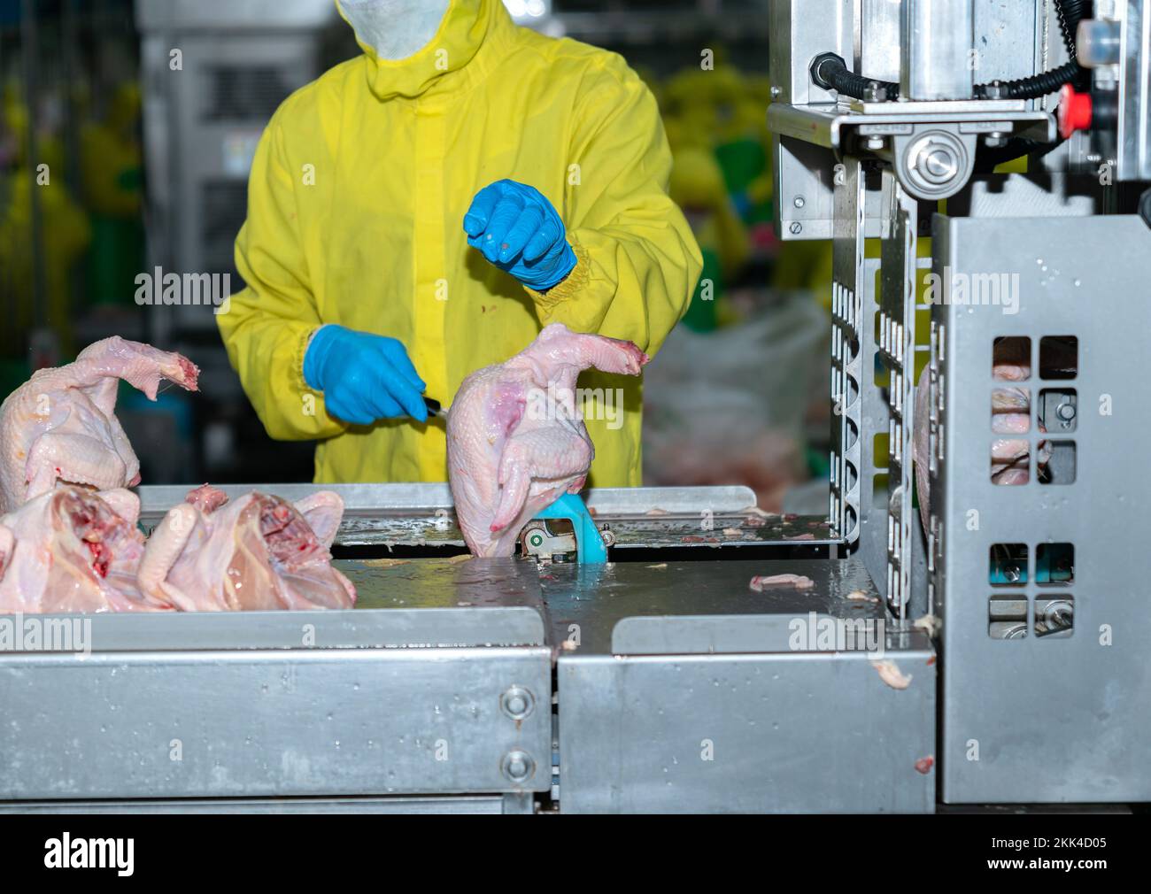 Body parts of a chicken hi-res stock photography and images - Alamy