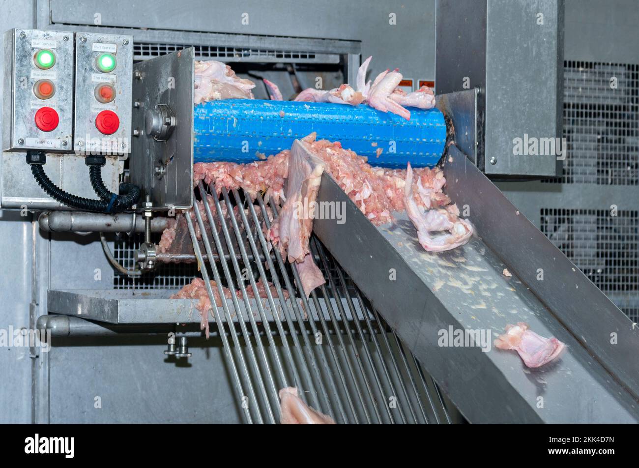 Chicken parts load out from automate cuttting machine in meat process ...